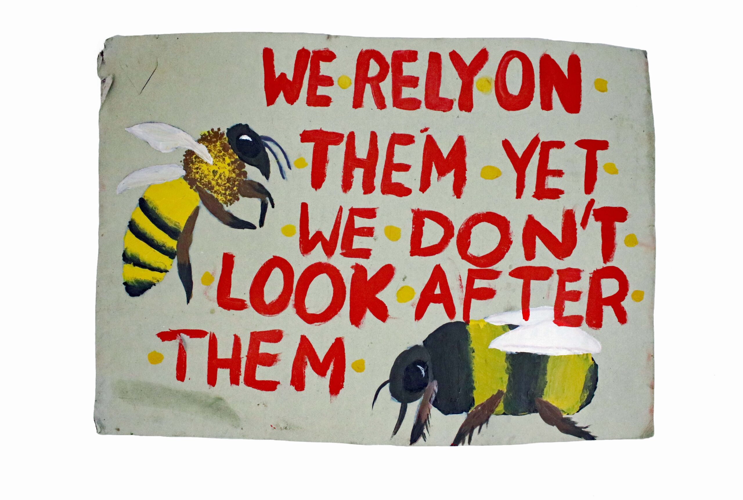 Bristol Museums – Collecting to Represent and Support the Climate ...